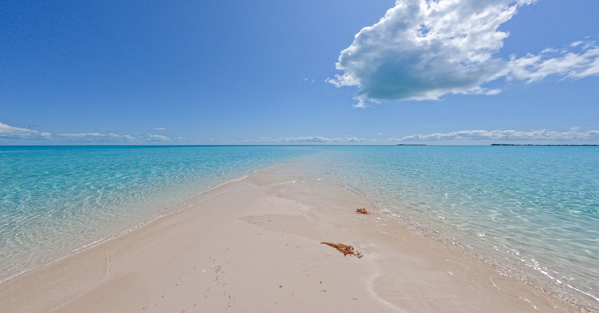 5 Top Sandbars To Visit in the Palm Beaches of Florida - Sandhill Charters